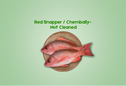 Fresh Fish and Seafood online in Kochi