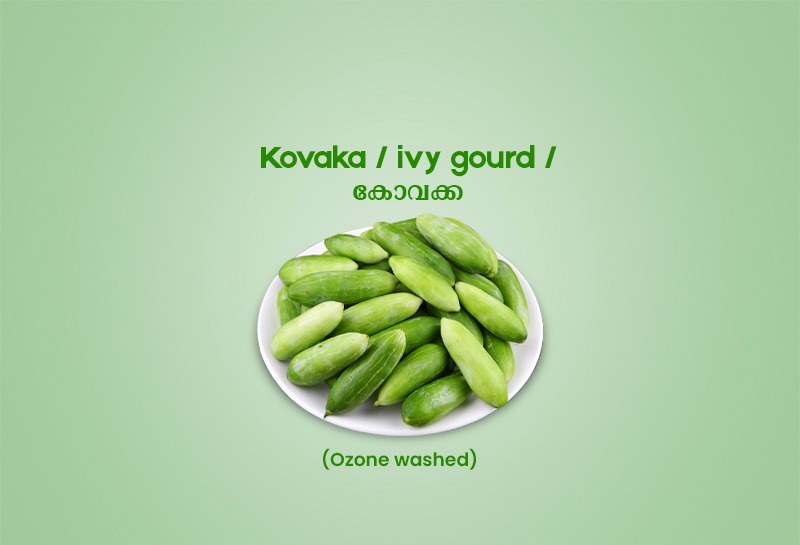 Kovaka / ivy gourd /കോവക്ക Fresh vegetable delivery in kochi